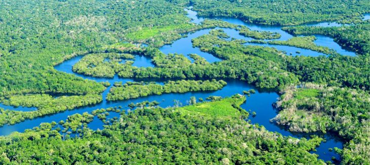 Selva Colombiana Amazónica: DESCRIPCIÓN: