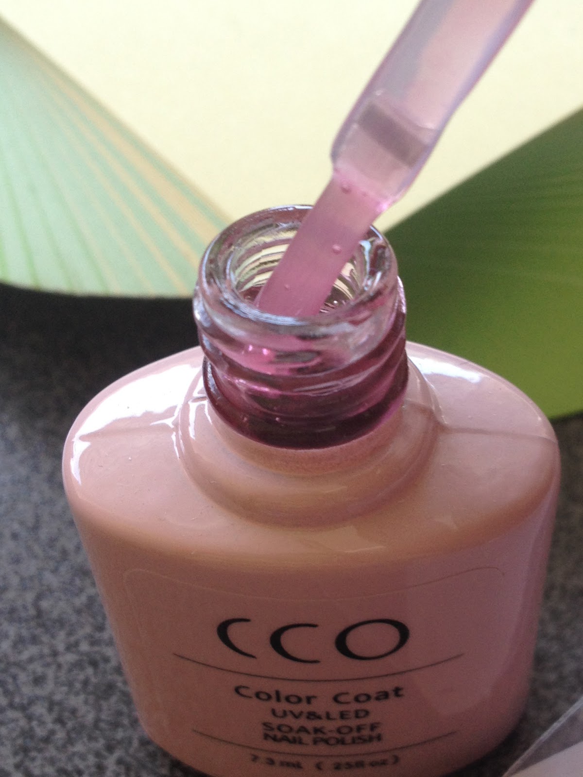 What´s my Name???: Erste Erfahrungen mit Shellac