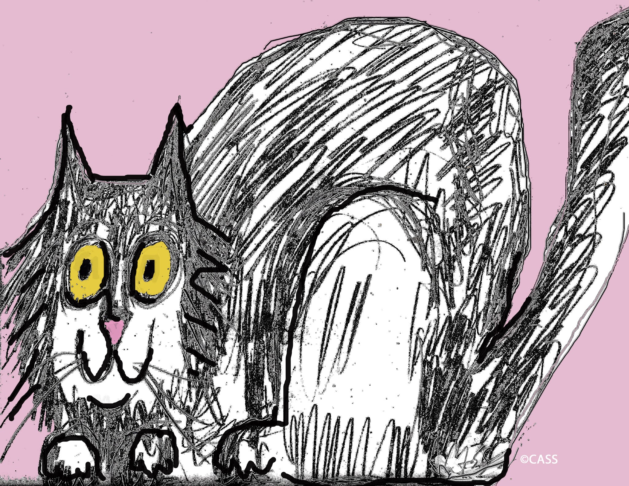 CARYN STRAUSS-SMITH ART AND DESIGN: Cat Scribble