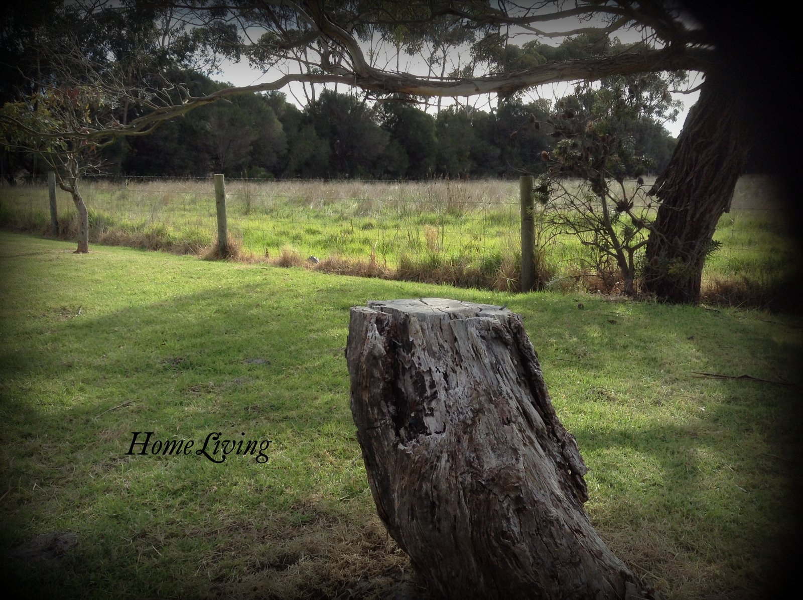 Home Living: Tea Time on the Mornington Peninsula