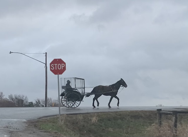 Amish Horses: Early Spring Amish Style