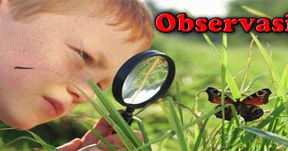 Teks Laporan Hasil Observasi beserta Pengertian, Tujuan, Fungsi, Ciri ...