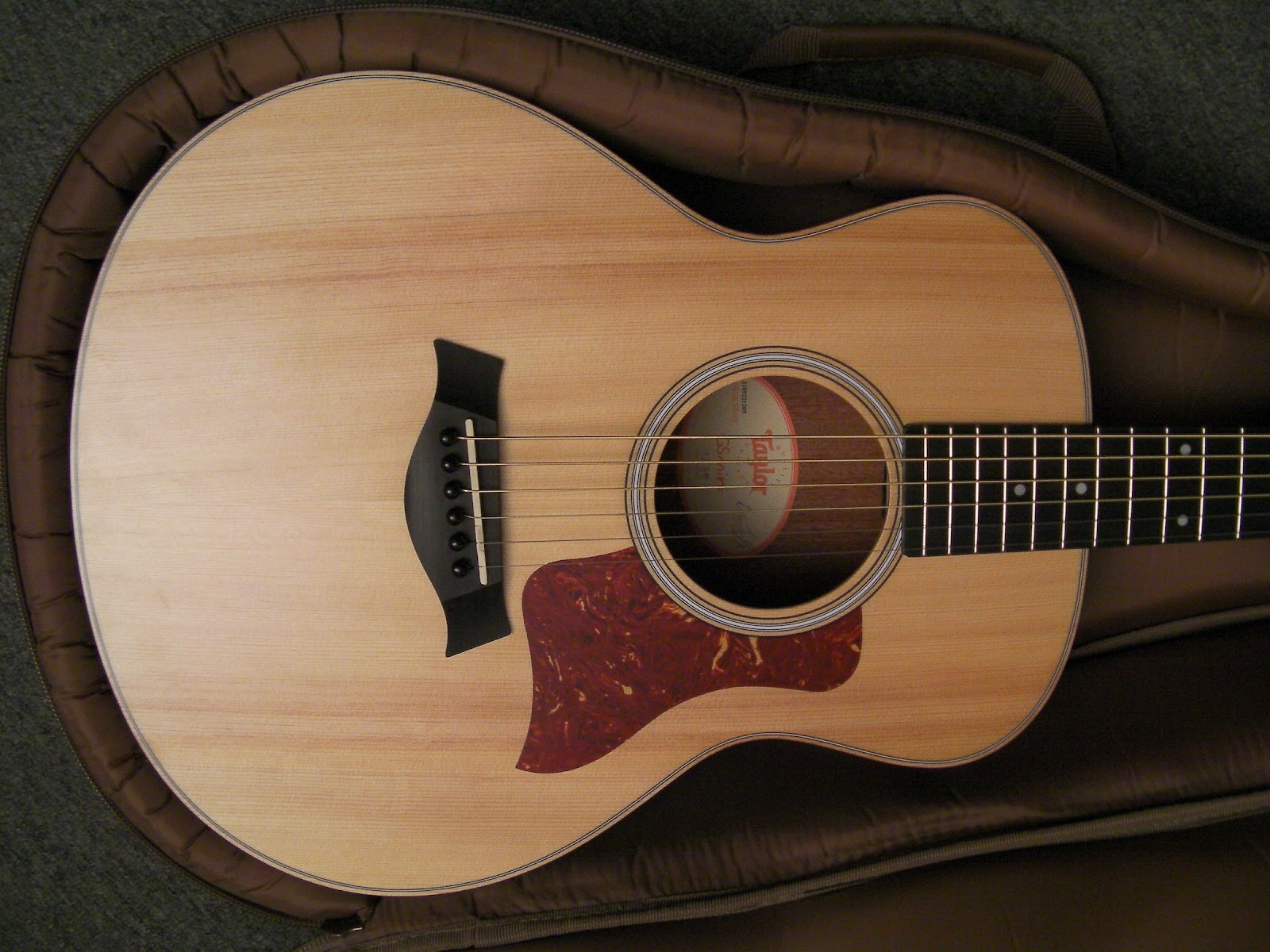 Musician's Tools: Taylor GS Mini