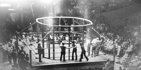 My 1-2-3 Cents : Locked up: the history of steel cage matches