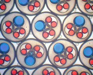 Multiple Emulsion : An Overview - The Pharma Education | Pharmaceutical ...