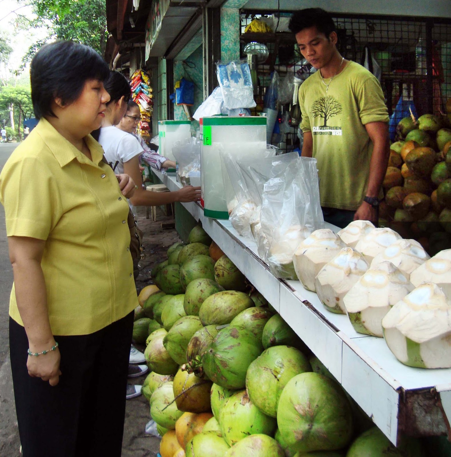 Living with Nature - School on Blog by Dr. Abercio V. Rotor: The art of ...
