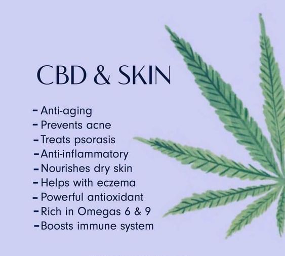 What Is CBD?: A Brief History Of CBD, An Introduction To This Healing ...