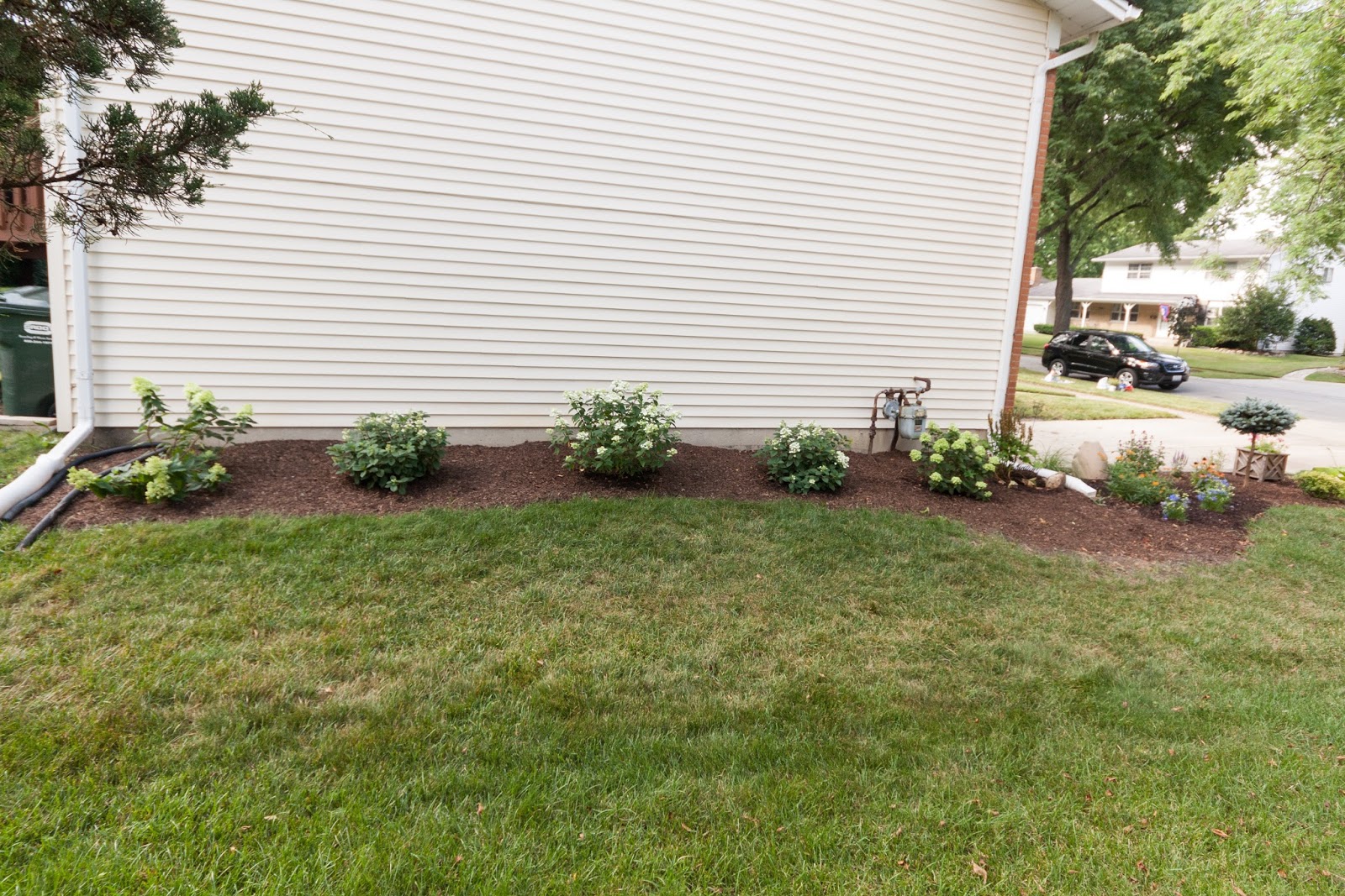 Russet Street Reno: The longest landscaping post ever