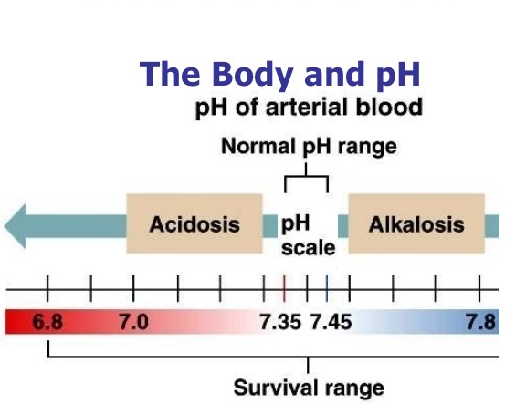The Online Medicals: Acid base balance: A complete explanation for ...