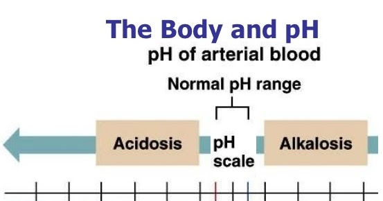 The Online Medicals: Acid base balance: A complete explanation for ...