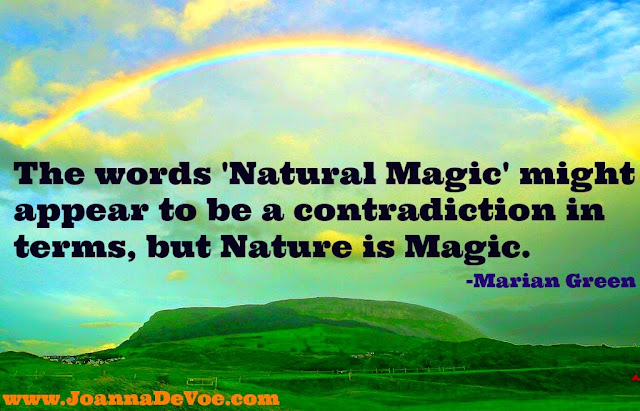 BOOK NERD : Kickass Quotes From The Elements Of Natural Magic by Marian ...