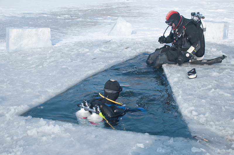 Dive Jungle: New ice diving photos