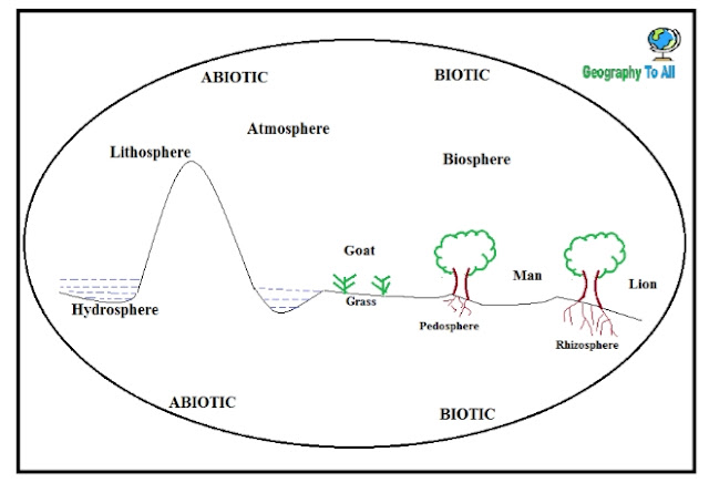 CONCEPT OF ENVIRONMENT - Geography To All