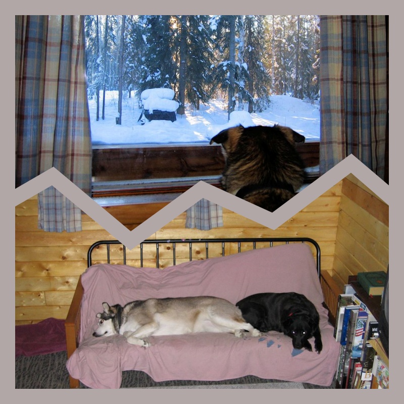 glancing back in time: 2021