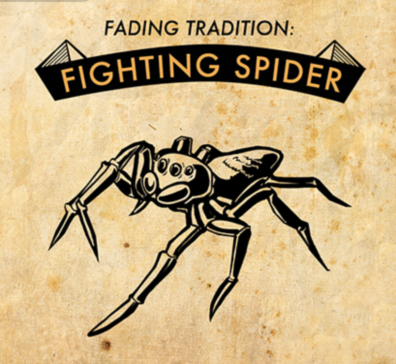 Westlands Primary, Class of 1965: Spider fighting