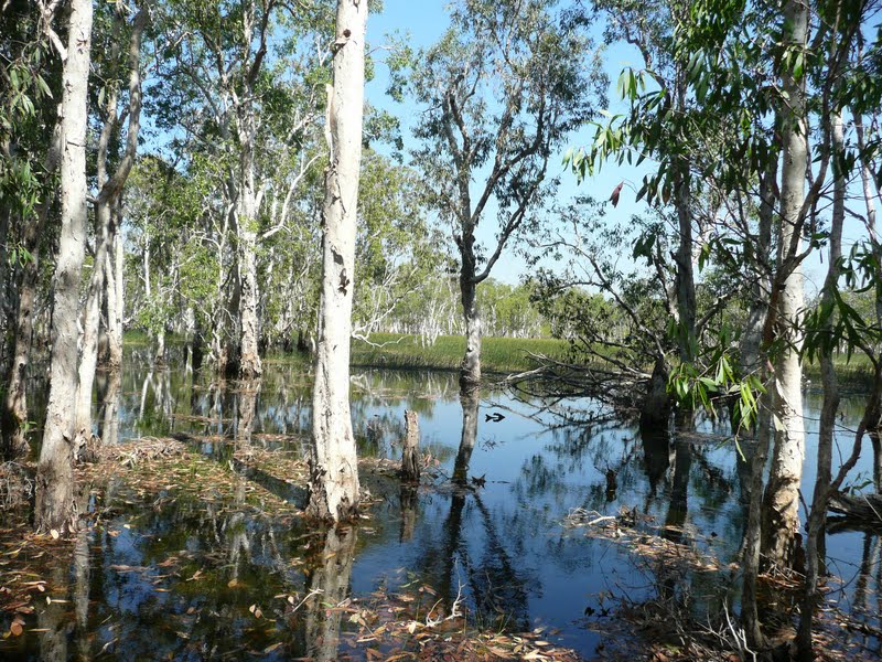 Nele & Andrew Around Oz: Buley Rockhole Campsite, Litchfield National ...