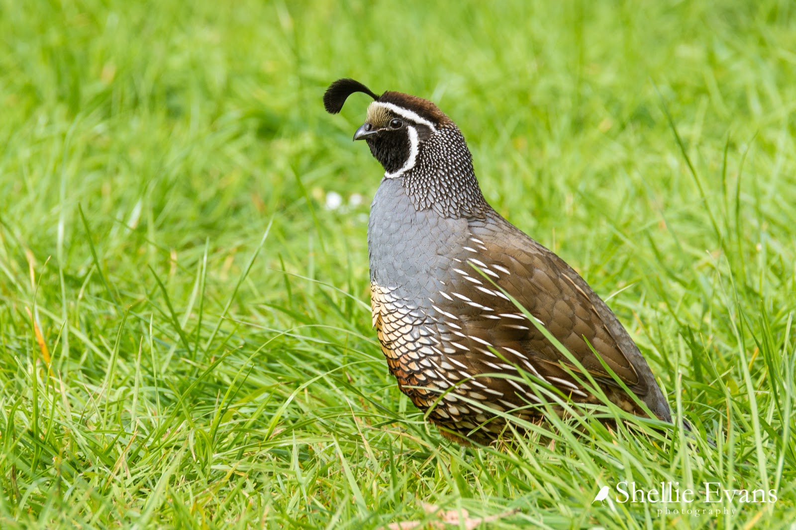 Two Go Tiki Touring: Totaranui- Bird Paradise