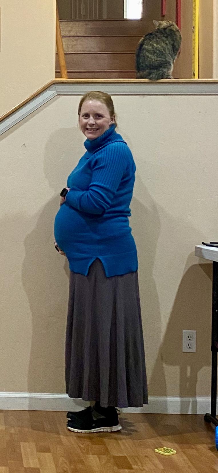 The Mountain Millers: Preggers VI: 27 Weeks