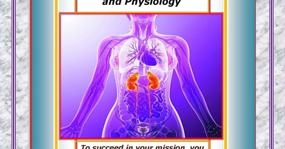 Urinary System Anatomy Physiology - Medical Yukti