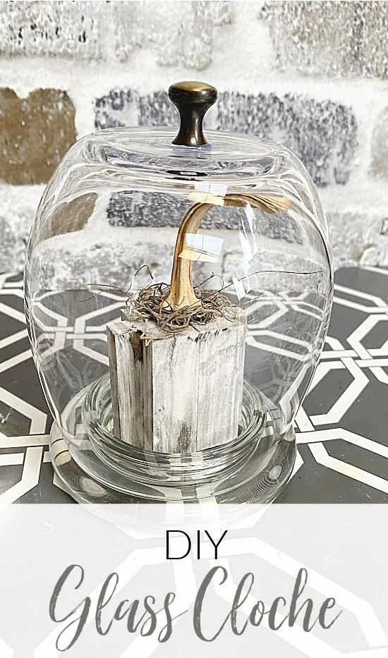 DIY Wine Glass Cloche