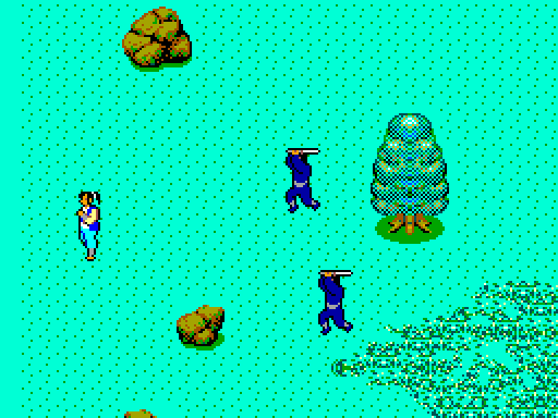 VGJUNK: THE NINJA (MASTER SYSTEM)