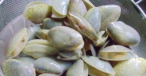 Perbezaan Siput Lala, Remis, Sedut Dan Kupang | cik sukα taip