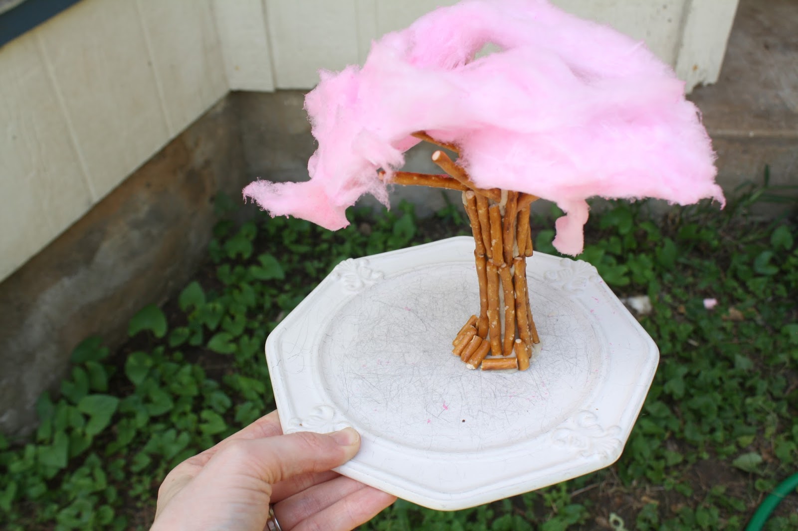 Having Fun at Home: Eliza's Cherry Trees: a Cotton Candy Craft