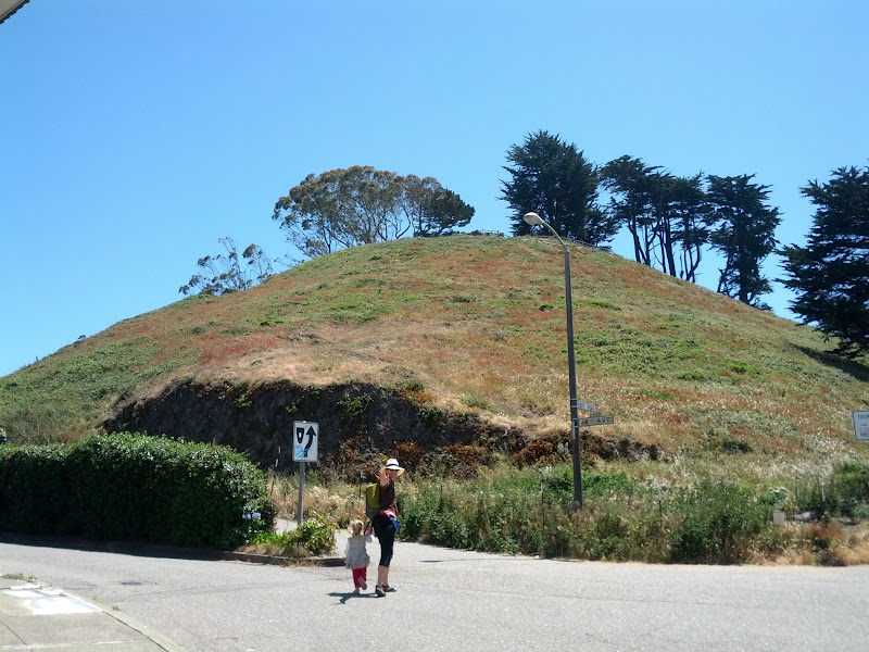 HILL BABIES: Chasing the Green Hairstreak with a Baby