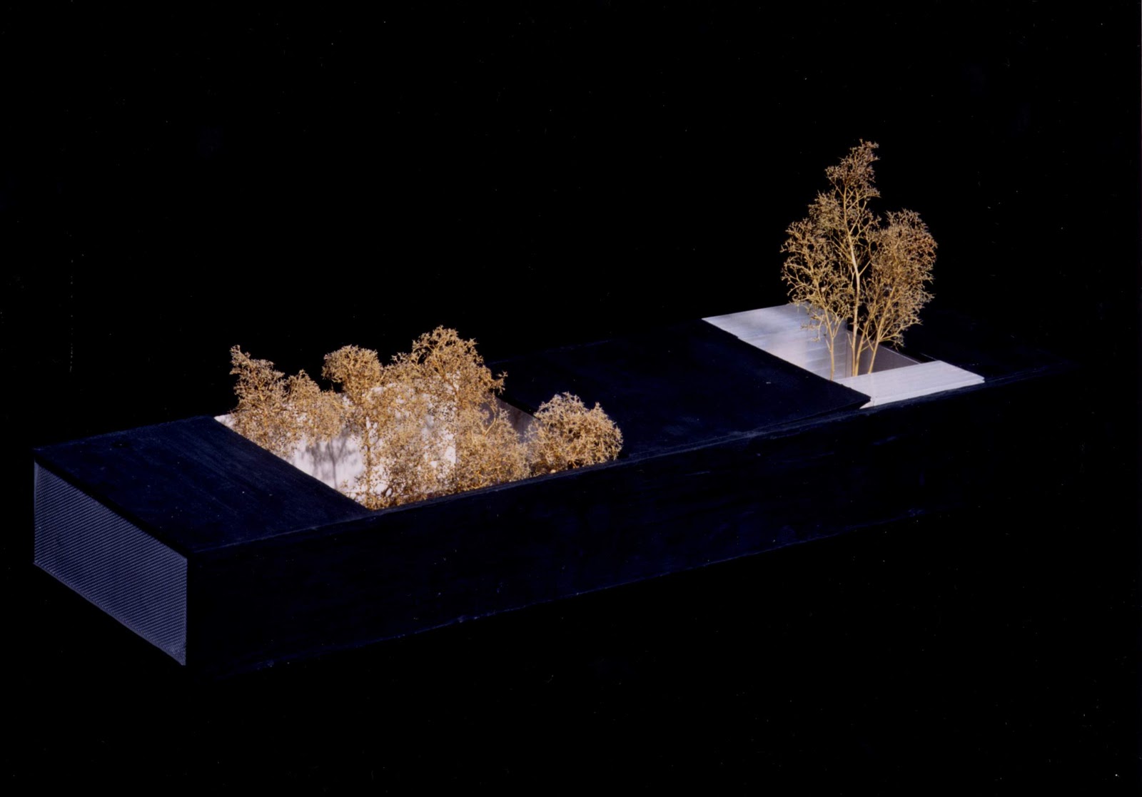 ARTI CIVICHE: PICCIO