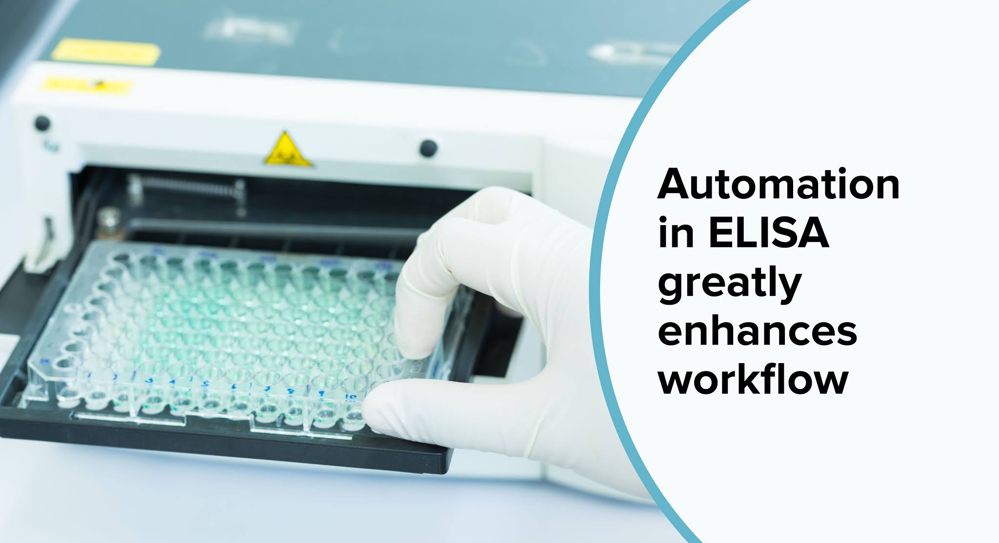 Automation in ELISA greatly enhances workflow