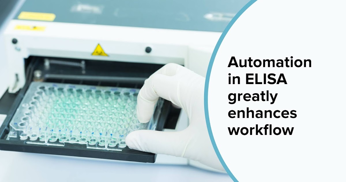 Automation in ELISA greatly enhances workflow