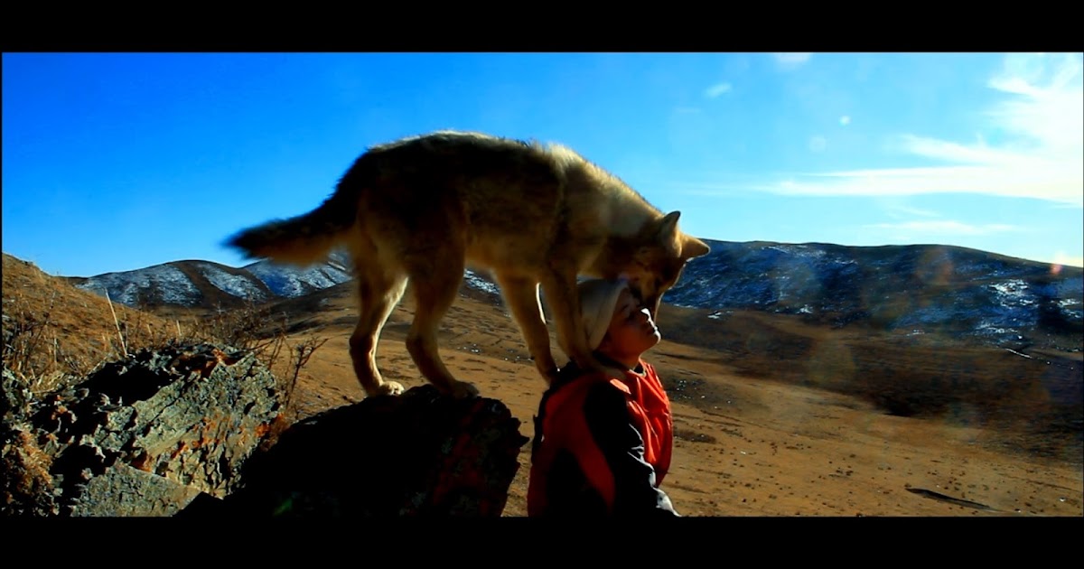 Μπάμπης Δερμιτζάκης: Yi Feng, Return to the wolves (重返狼群 2017)