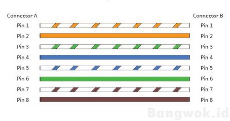 Susunan Warna Kabel Straight dan Crossover Pada UTP - Bangwok.id