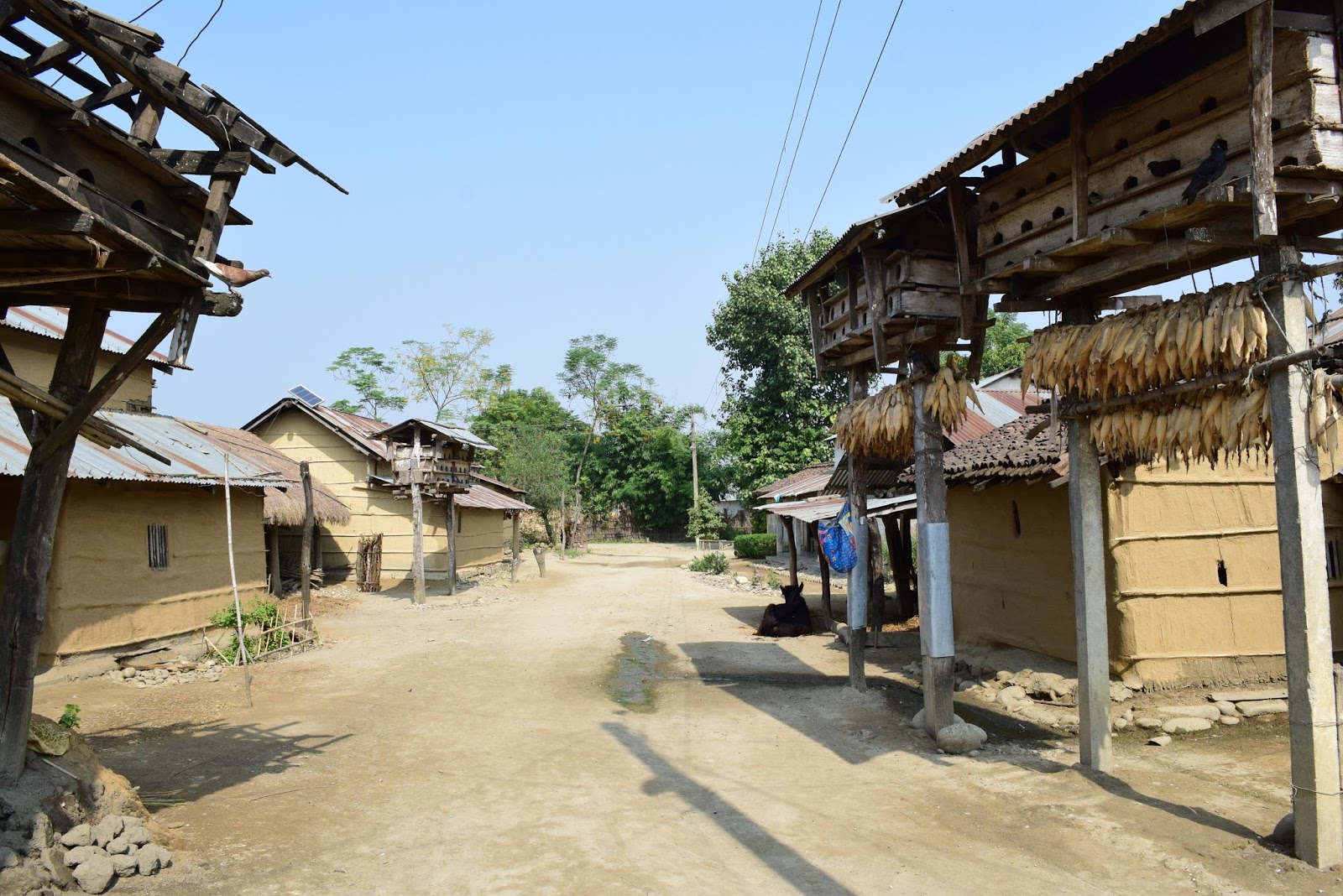 Meghauli Village, West Chitwan National Park