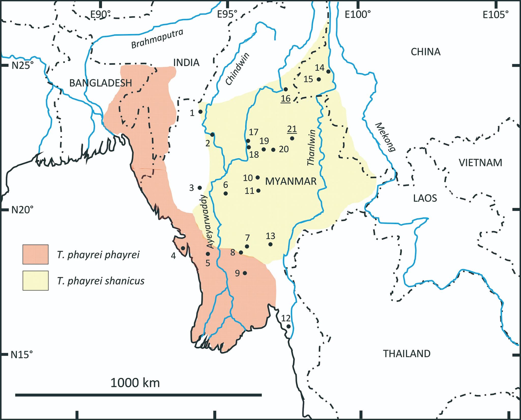 Species New to Science: [Mammalogy • 2020] Trachypithecus popa ...