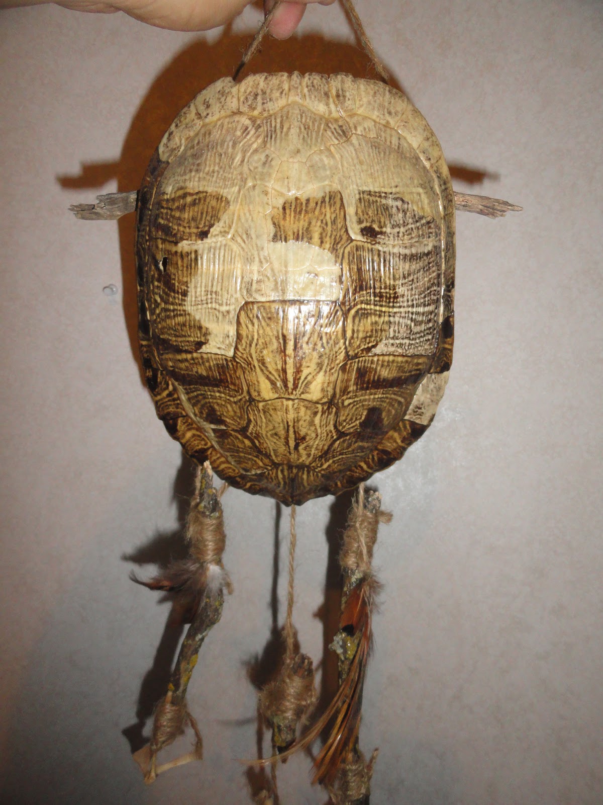 Crafts of the Living Dead: DIY Turtle Shell Voodoo Wind Chimes