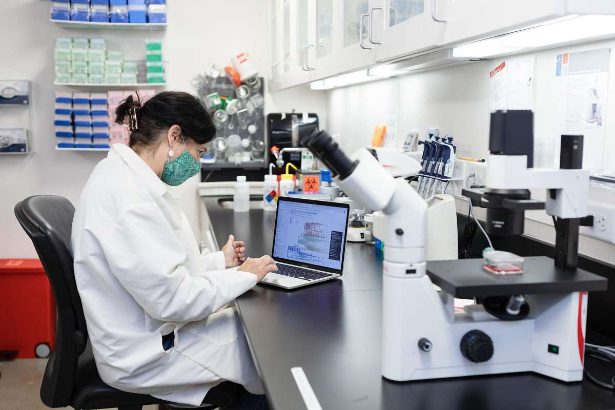 Want to become a Data Analyst, Scientist or Engineer? Learn SQL, and ...