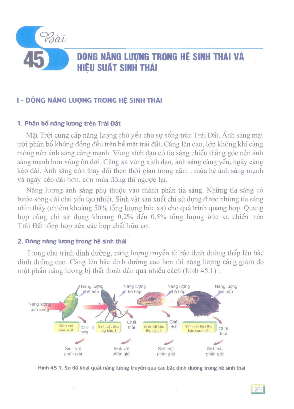 Bài 45: Dòng năng lượng trong hệ sinh thái và hiệu suất sinh thái - Downloadsachmienphi.com