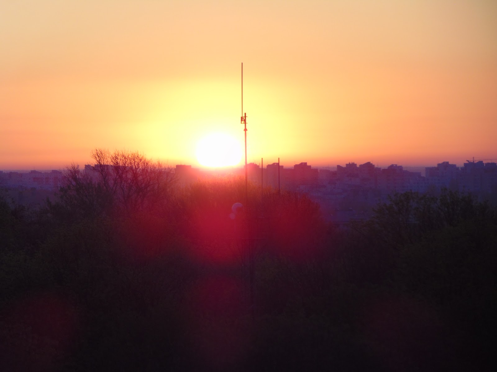 Trees: Sunrise Warsaw Poland Photo by Kevin Todd