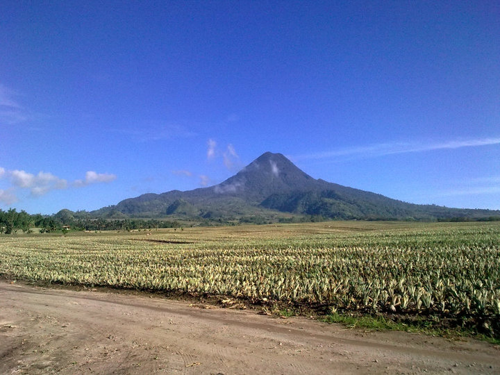 JOKE TIME.....More Fun In the Philippines: At the Top of Mount Matutum ...