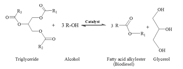 Proceso de extracción del biodiesel