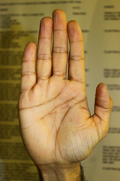 Meiyo Karate Club - Nottingham: Basics ... making a good fist