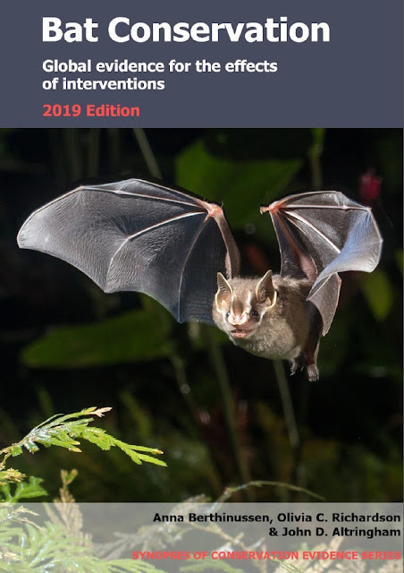 Bitacora Naturae: BAT CONSERVATION: GLOBAL EVIDENCE FOR THE EFFECTS OF ...