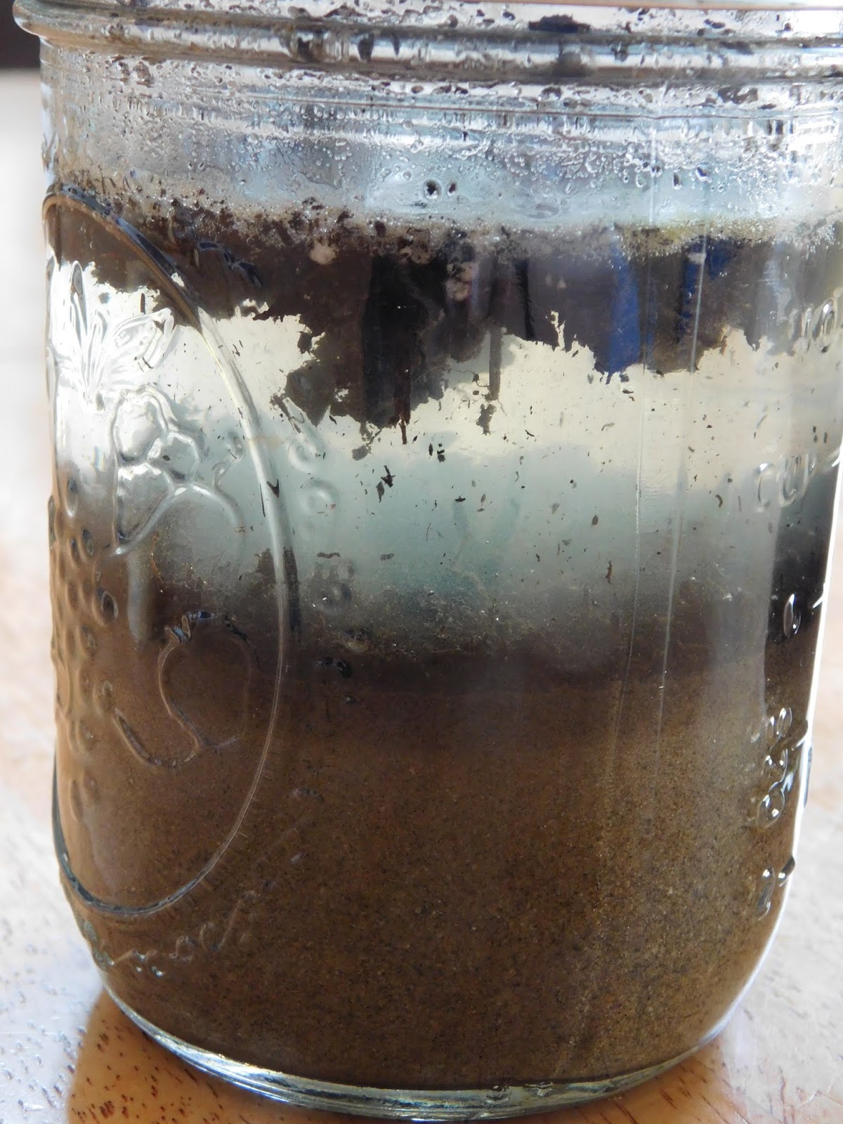 100 Days of Science #87-- Sediment Layer Jars