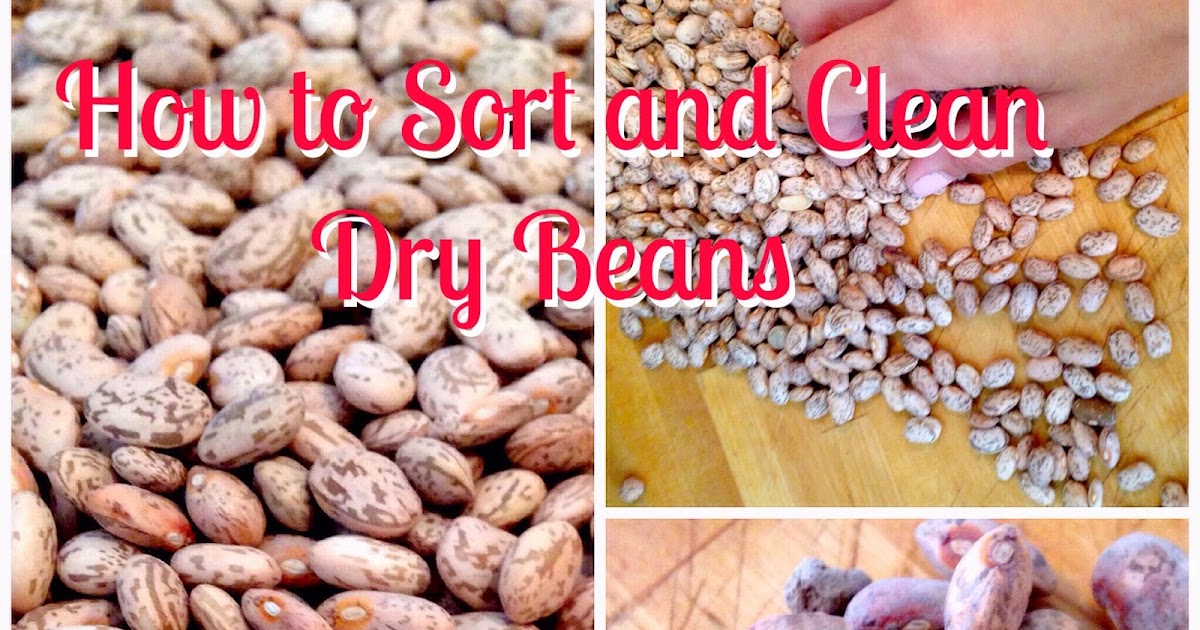 Homemaking Simplified: How to Sort and Clean Dry Beans - Pictorial