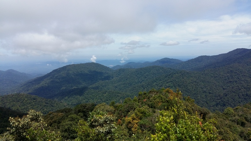 TRAVELOG: PINE TREE HILL & TWIN PEAK, BUKIT FRASER : Perah tenaga gak....