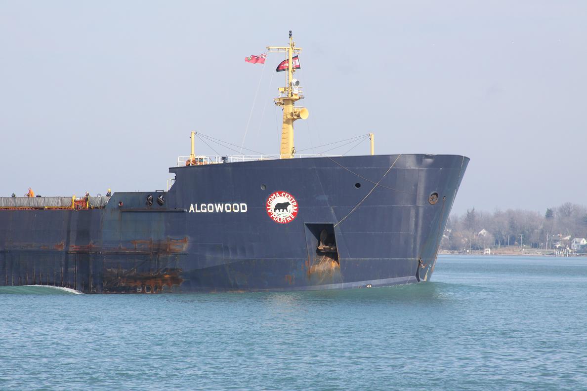 Michigan Exposures: And Now...The Algowood