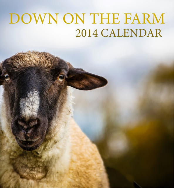 Barbara O'Brien Photography News: 2014 Large Size Wall Calendars are ...