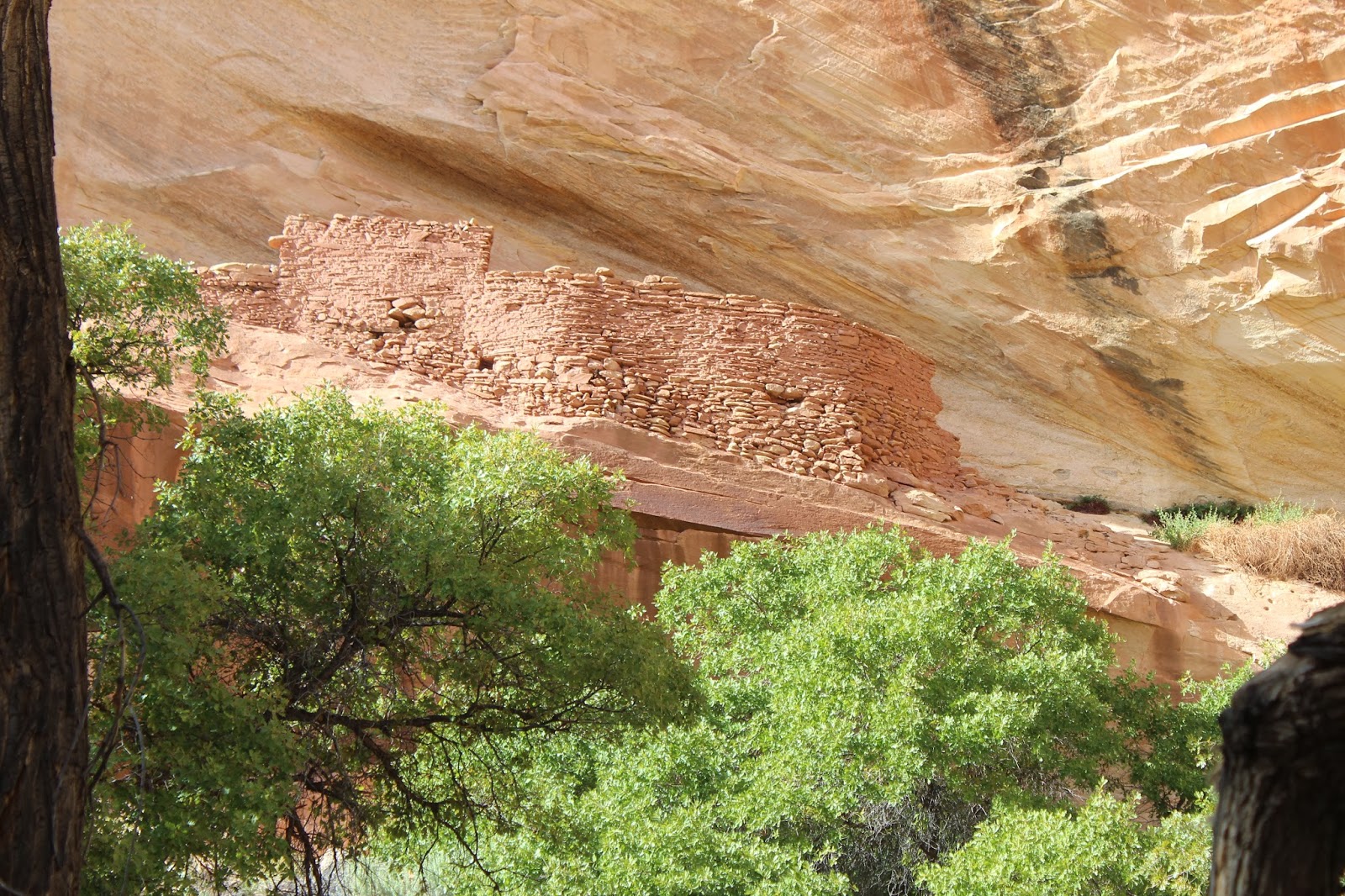 gjhikes.com: Lower Butler Wash (14)