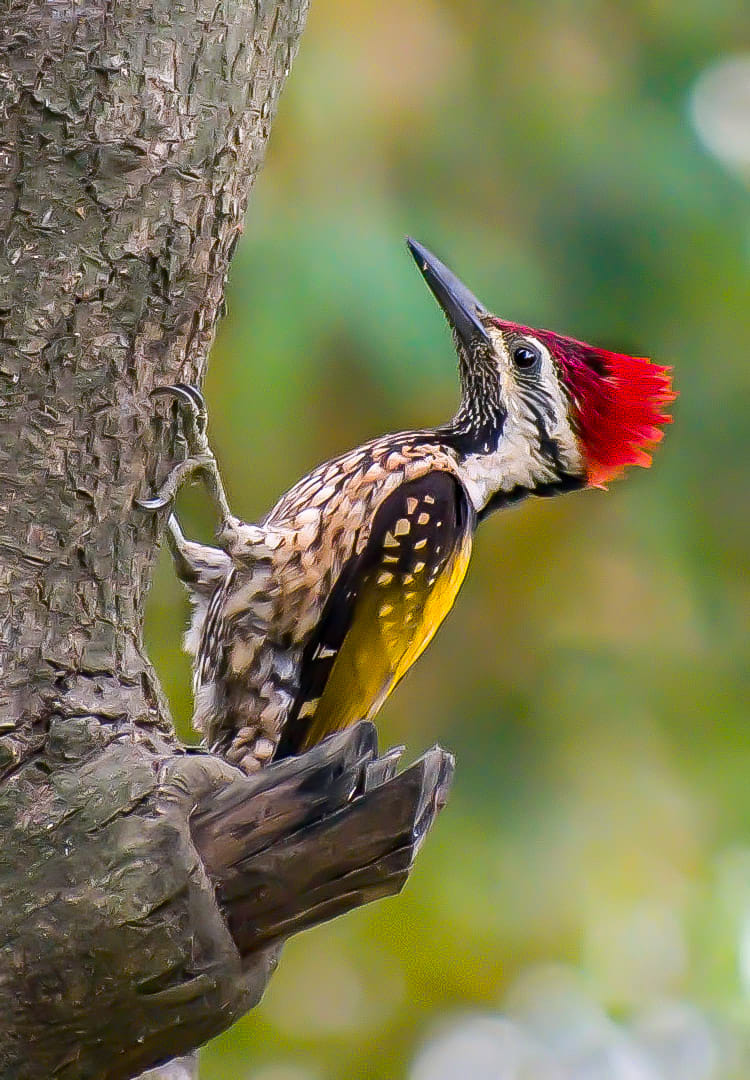 MATLAB Code for Histogram Equalization on GrayScale Image - MATLAB ...